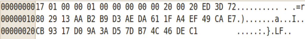 DTLS Packet Structure and Fields | Security Ramblings
